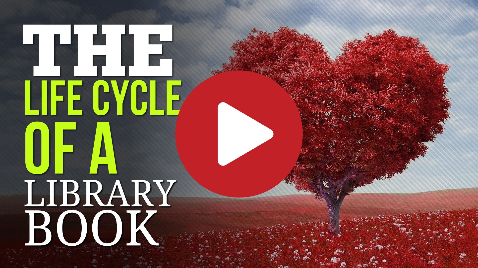 The Life Cycle of A Library Book