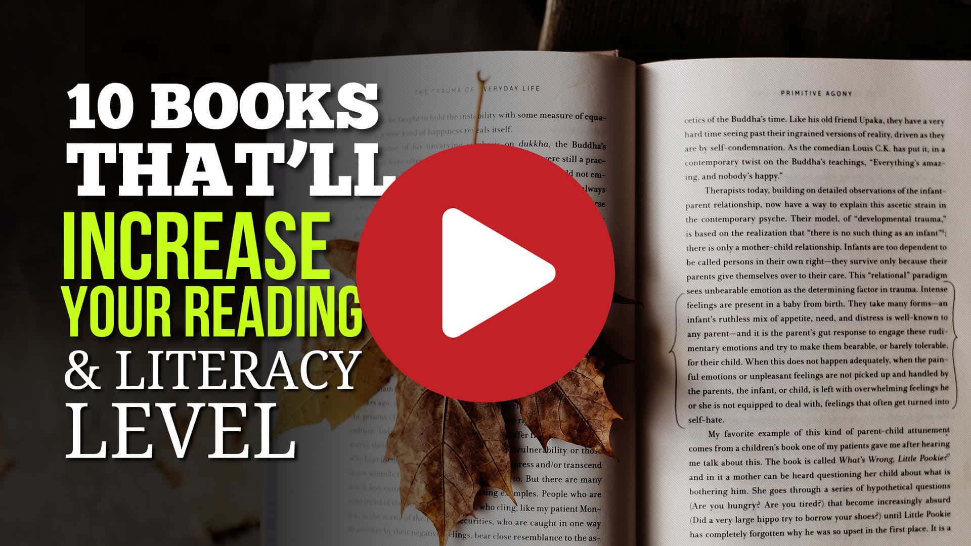(Video) 10 Books That Will Increase Your Reading and Literacy Level