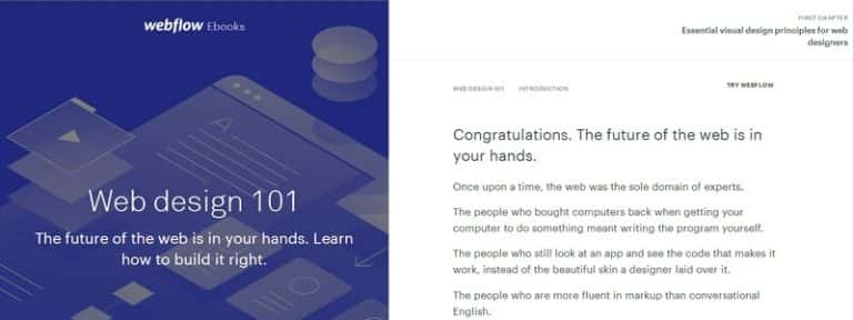Web Design 101 - Learn How to Build It Right
