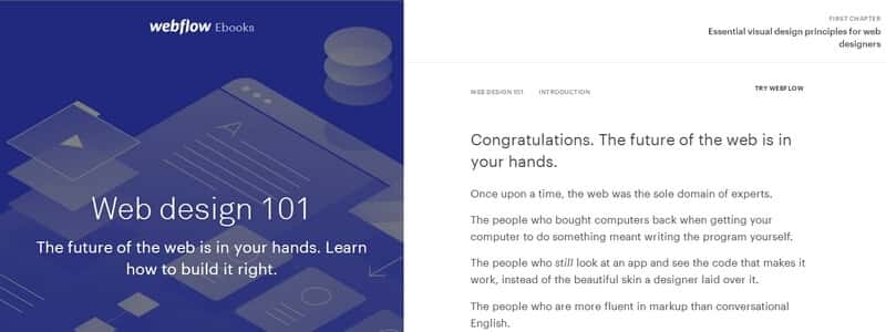 Web Design 101 - Learn How to Build It Right