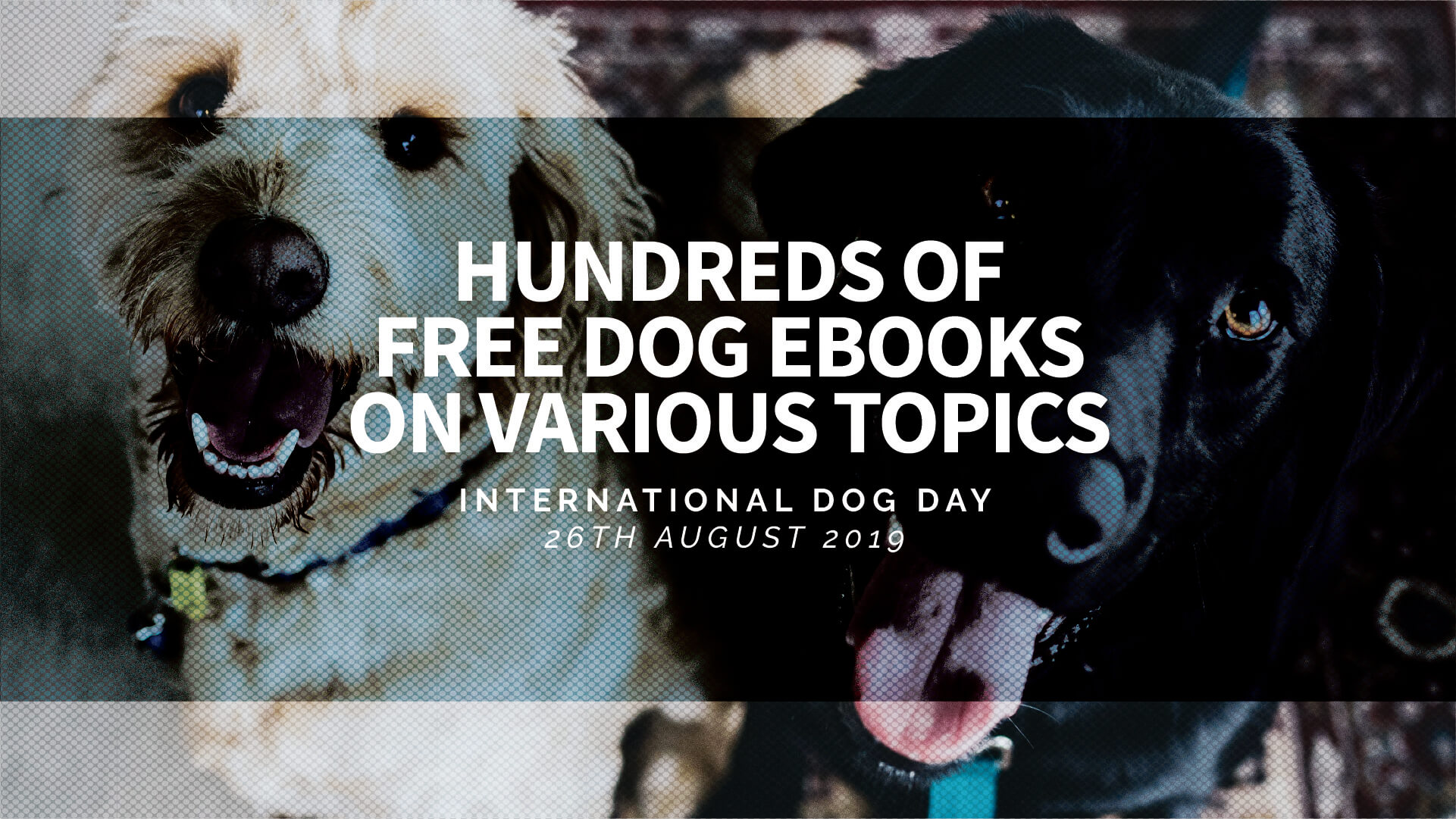 International Dog Day - Hundreds of Free Dog Ebooks on Various Topics